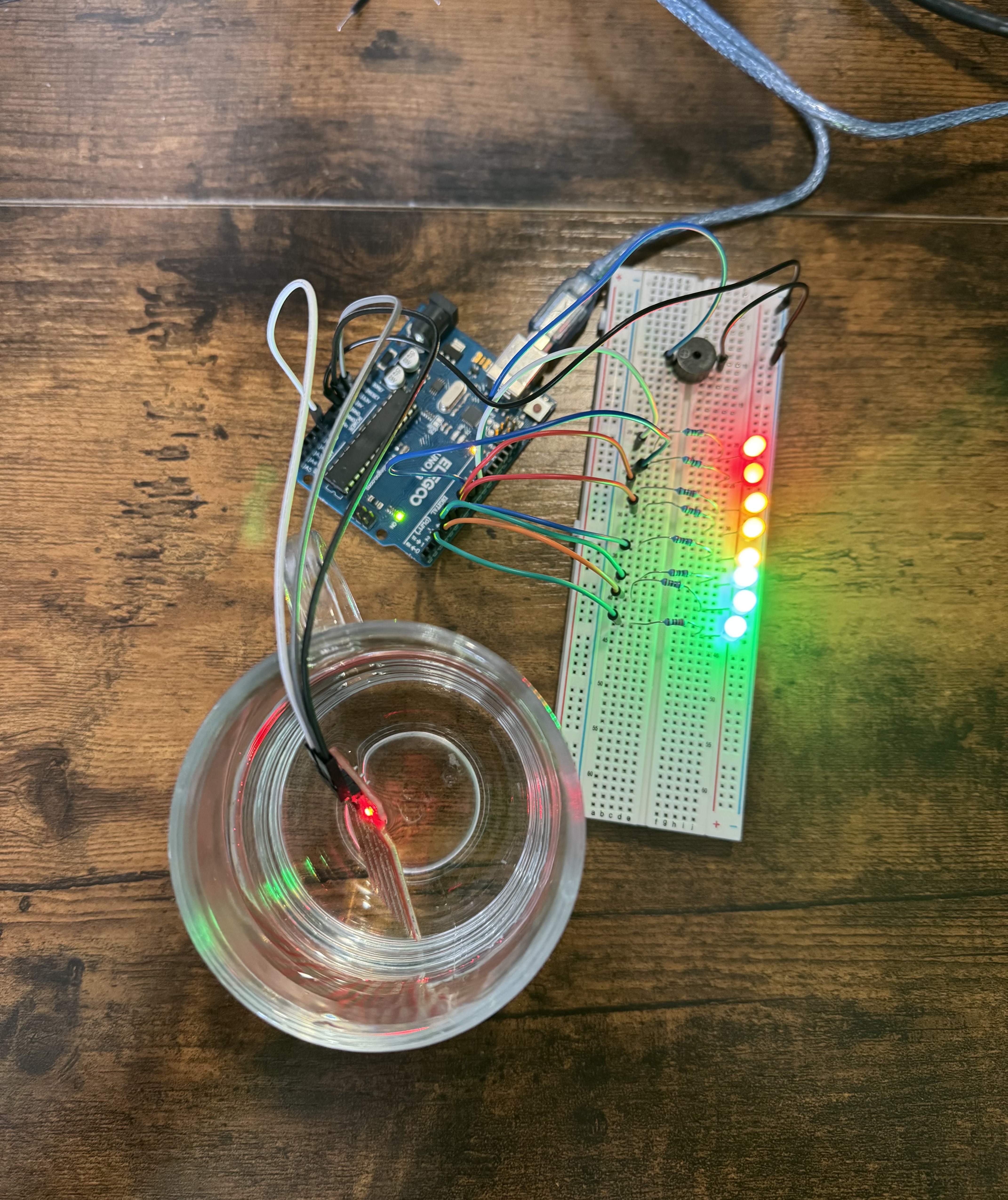 Water Level Indicator